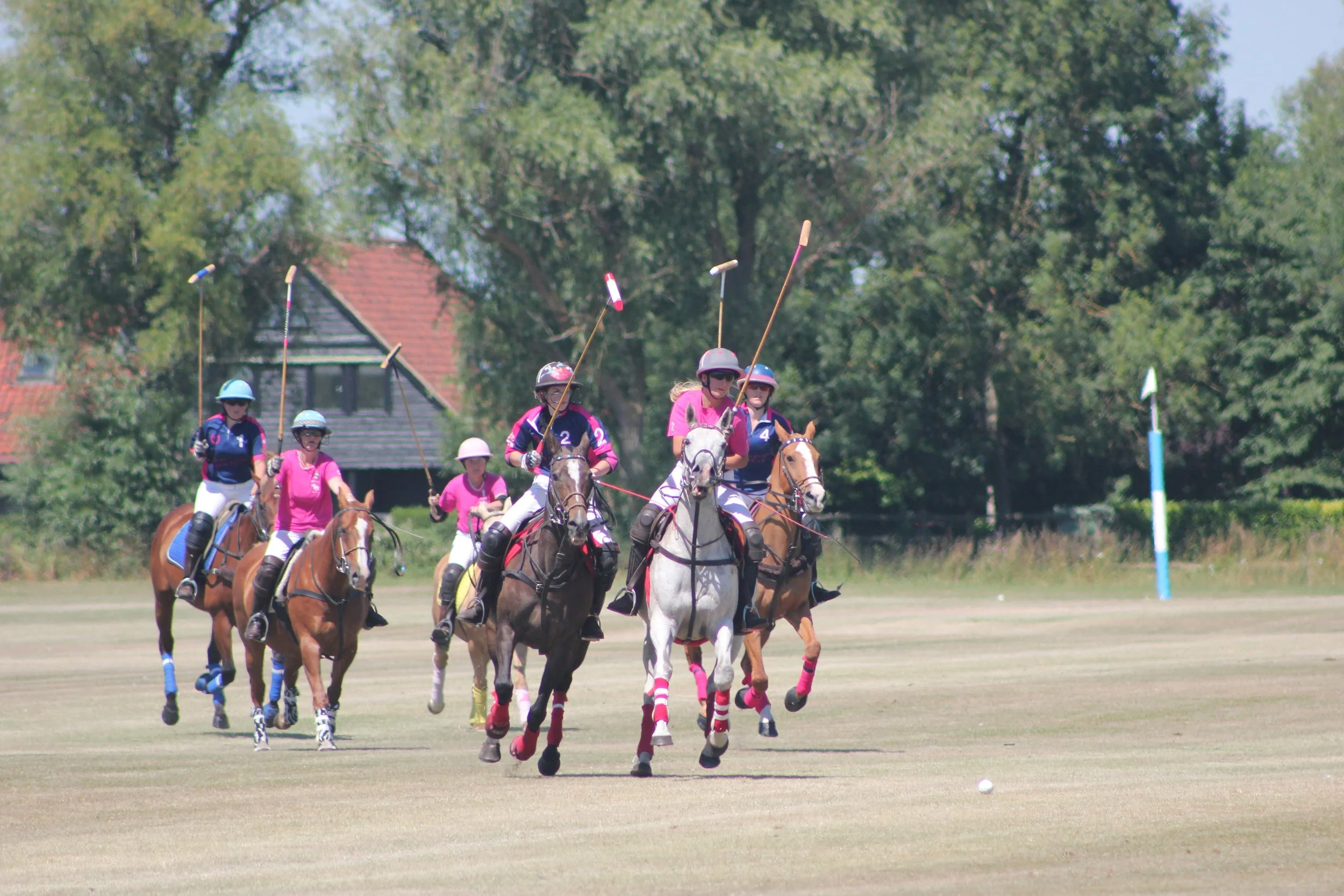 Ladies Polo — Cambridge & Newmarket Polo Club