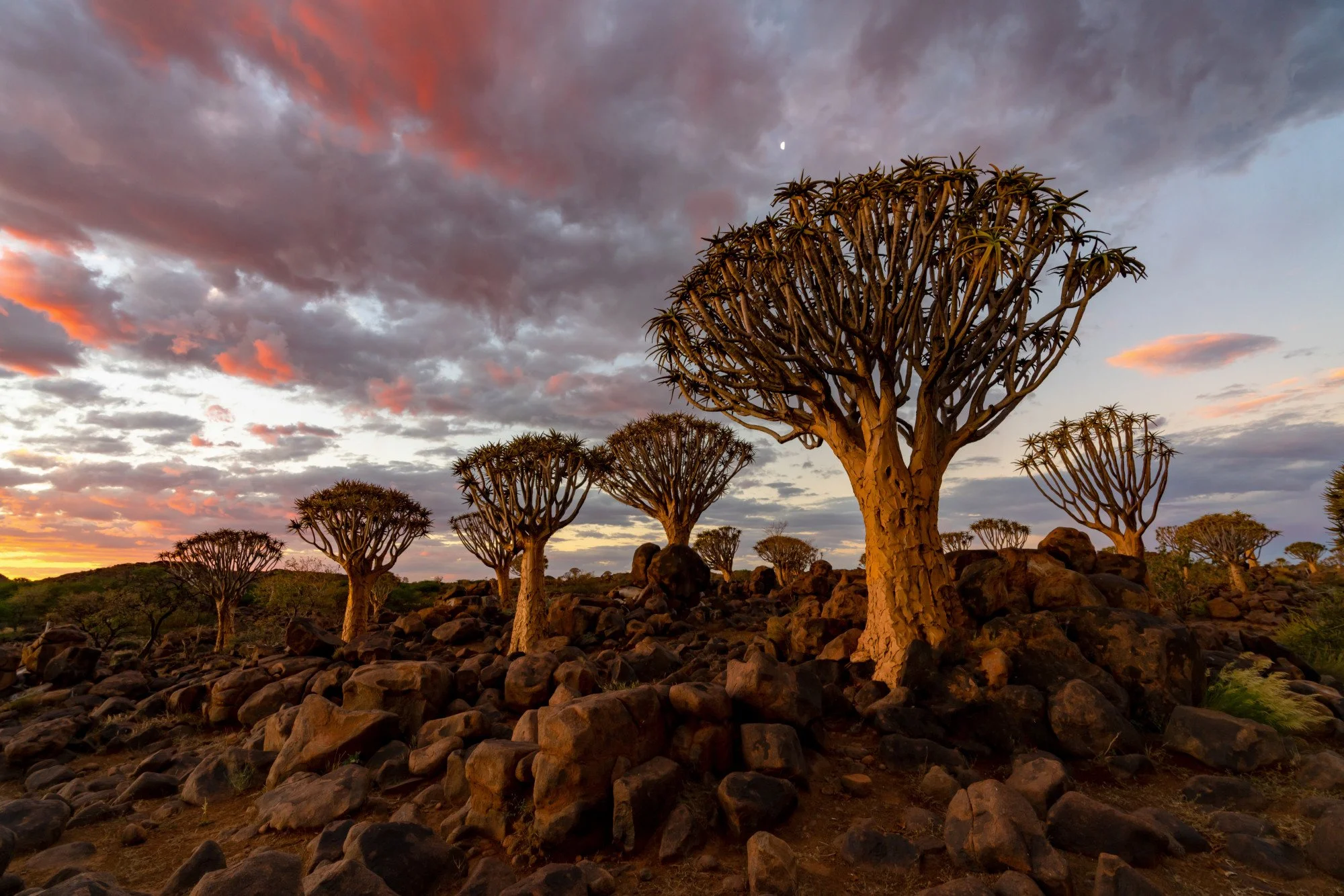 Africa & Arab States Region — Climate Heritage Network