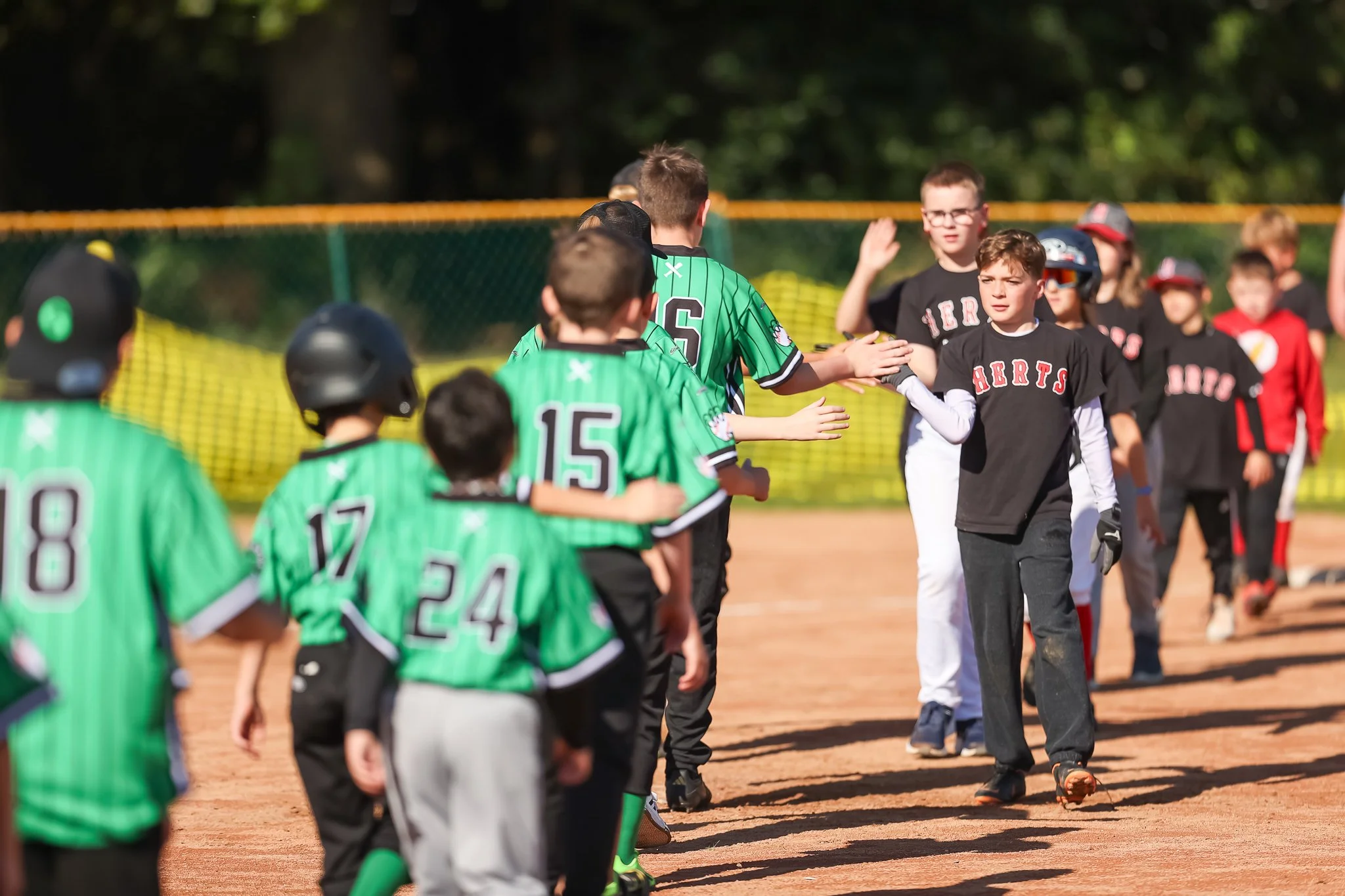 News — British Baseball Federation