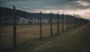 12 Must-Watch Holocaust Documentaries for Deep Historical Insight