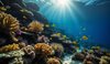10 Best Ocean Documentaries: Uncover the Mysteries of the Deep