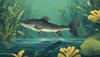 Documentary Catfish: Exploring Online Deception and the Complexities of ...
