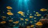 Top 10 Deep Sea Documentaries: Discover Ocean Mysteries and Marine Life