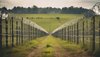6 Insightful Documentaries on Prison Farms: Rehabilitation Through ...