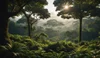 Top 10 Documentaries Unveiling the Mysteries of the Amazon Rainforest