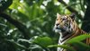 Immerse Yourself in Nature: 11 Incredible Wildlife Documentaries for ...