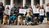 Top Documentaries on Disability Rights: Must-Watch Films for Advocacy ...