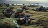 Top 13 Falklands War Documentaries: Must-Watch Films for History ...