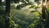 10 Must-Watch Documentaries About the Amazon Rainforest: Explore Its ...