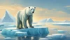 Inconvenient Truth Documentary: Al Gore's Powerful Call to Action on ...
