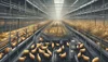 Eye-Opening Documentaries Exposing the Truth About Factory Farming