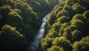 Top 10 Must-Watch Nature Documentaries: Explore Earth's Wonders