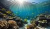 Top 10 Must-Watch Nature Documentaries: Explore Earth's Wonders