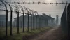 Night and Fog Documentary Review: Unveiling the Truth Behind the Darkness