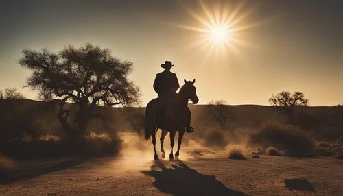 Dirty Dave Rudabaugh Exposed: 6 Riveting Documentaries on Billy the Kid ...