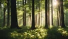 Into the Woods: 14 Must-See Documentaries Showcasing the Beauty of Forests
