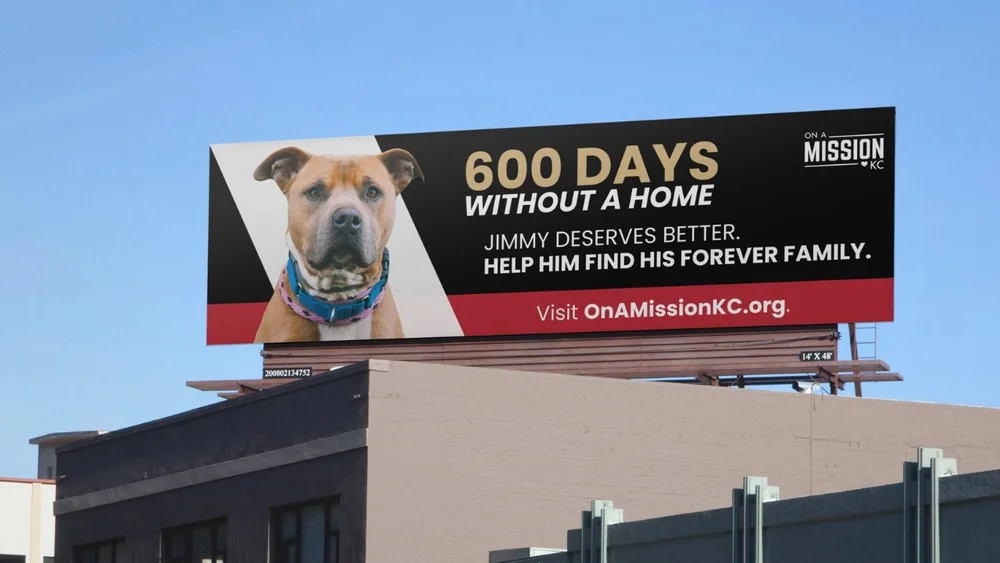 On A Mission KC Billboard Campaign | Helping Kansas City Shelter Pets ...