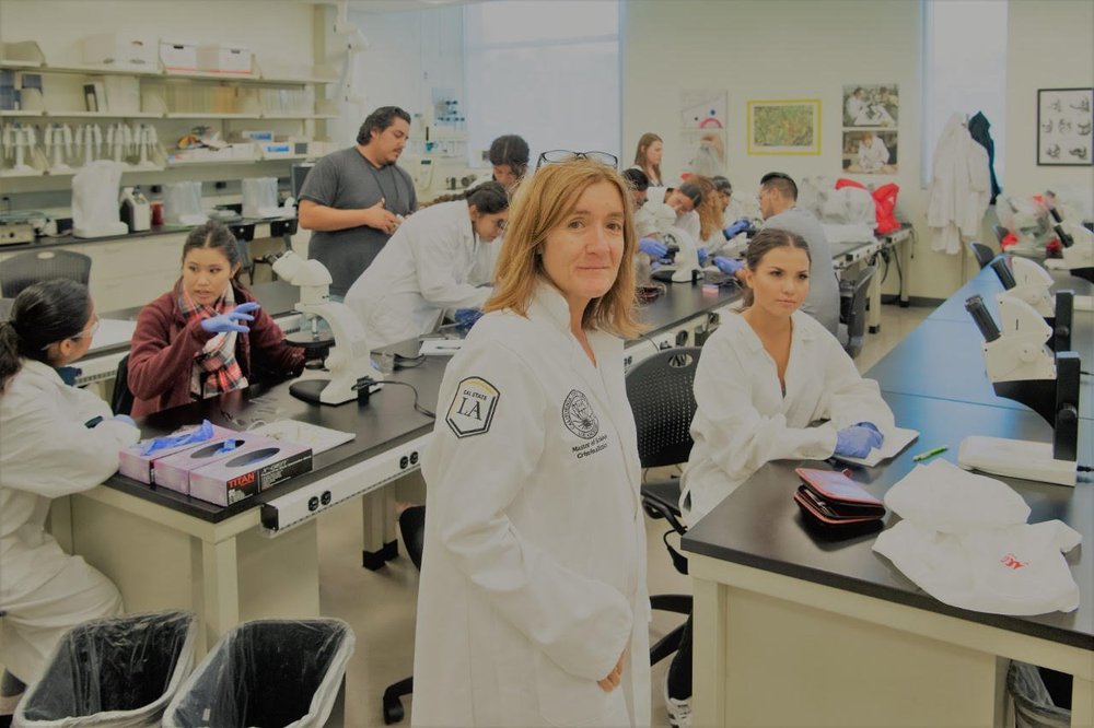 Los Angeles Innocence Project