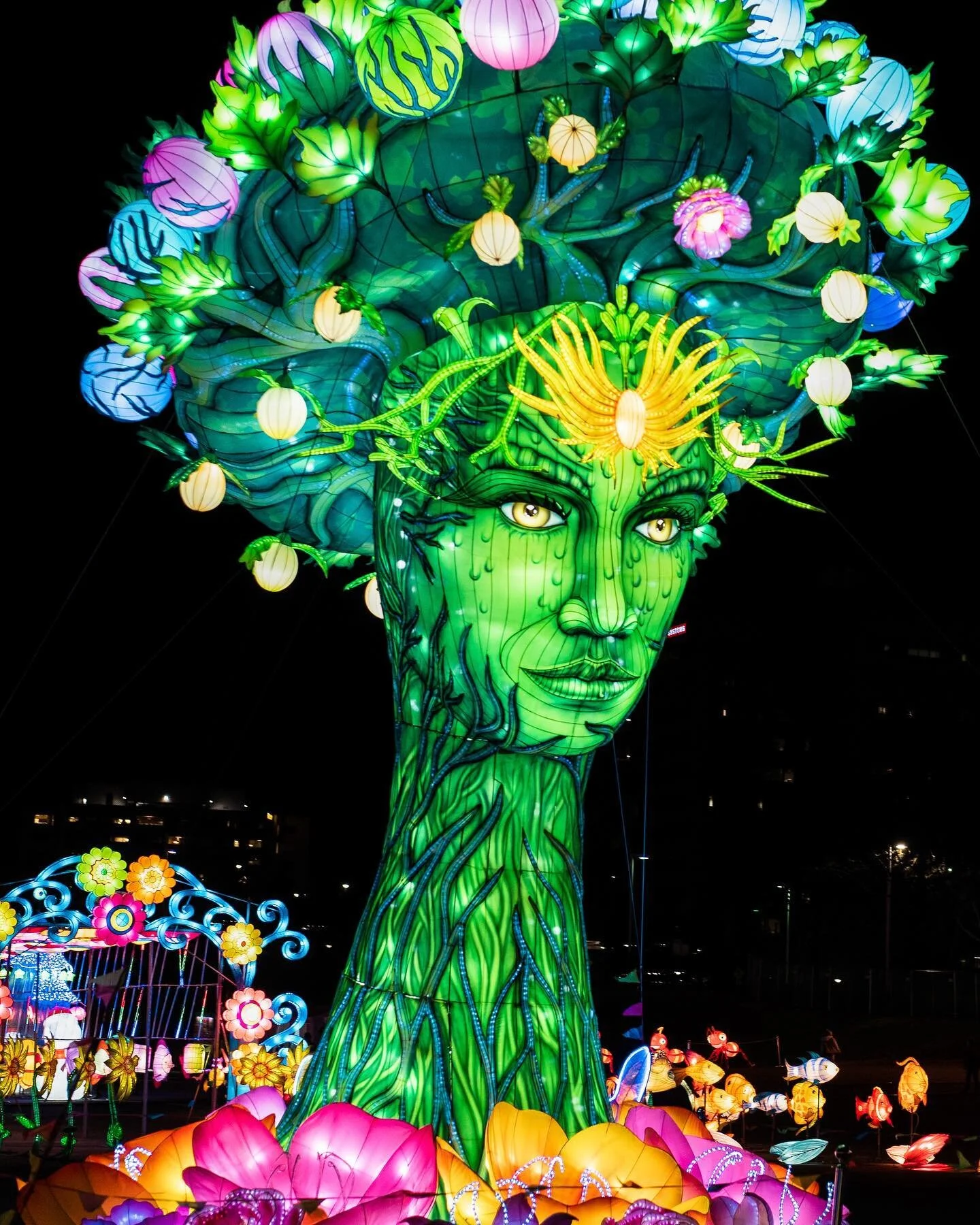 HOME - NYC Winter Lantern Festival — NYC & DMV Winter Lantern Festival