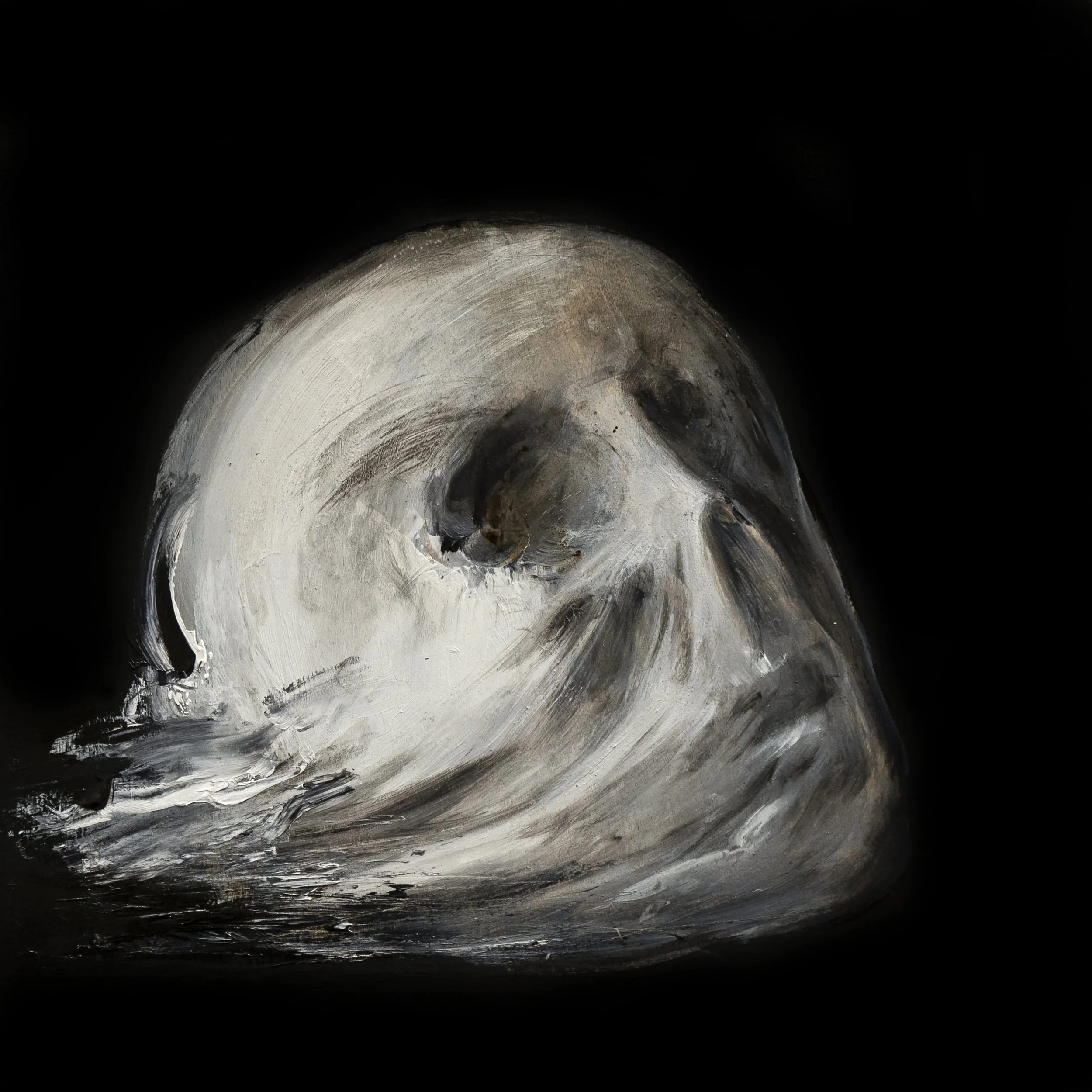 Skull Collection — Lin Fei Fei