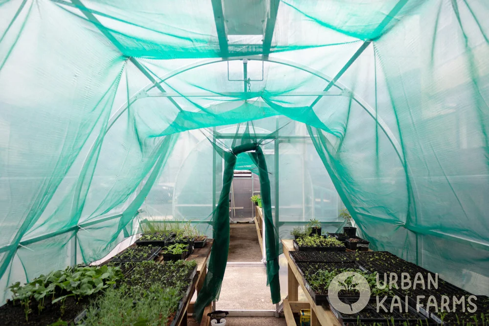 Noticeboard — Common Unity