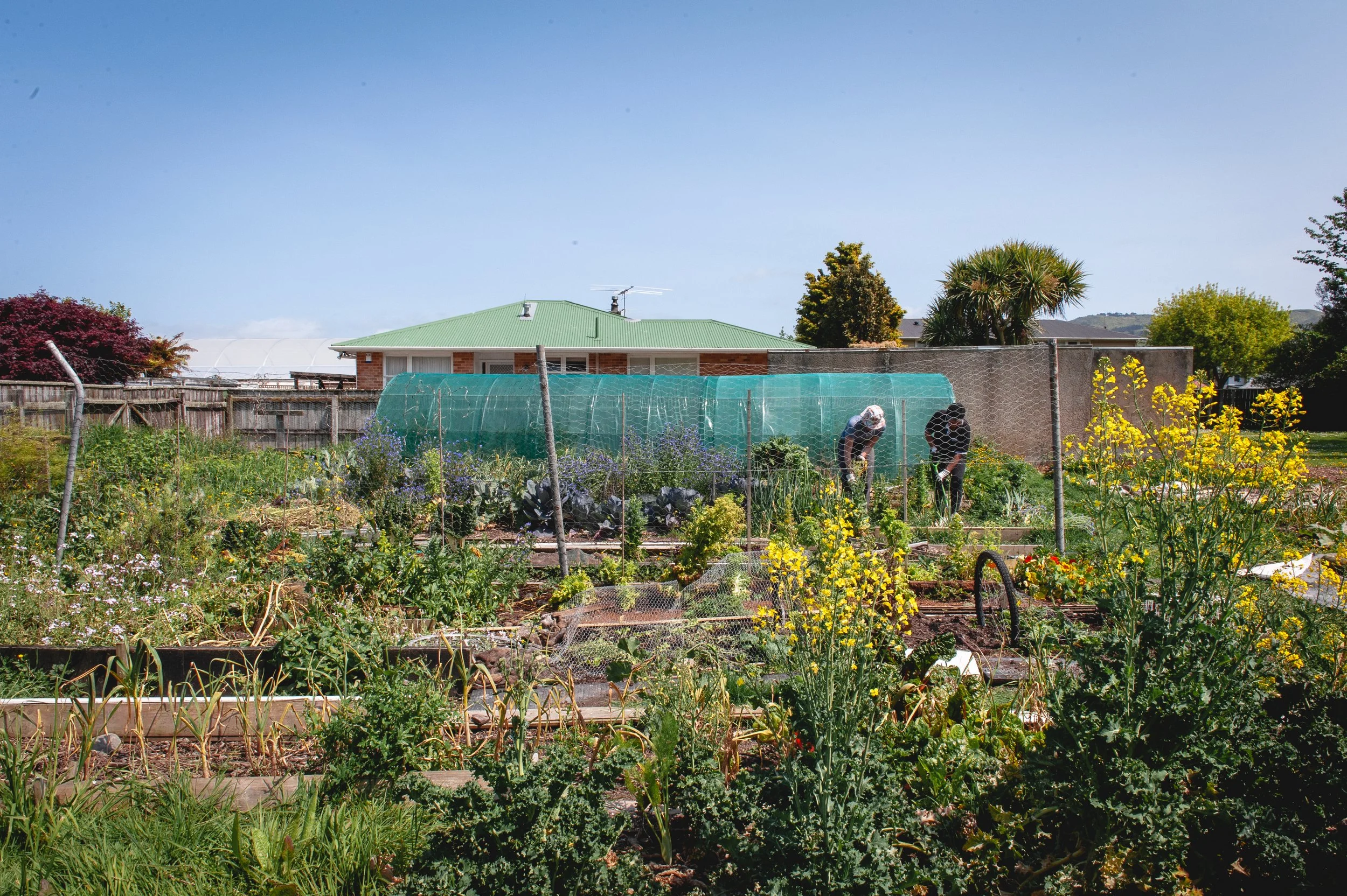 Grow Kit — Common Unity