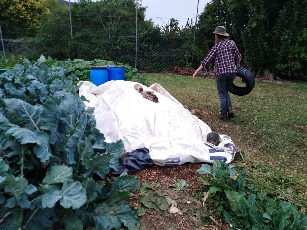 No-turn composting using the SPICE method — Common Unity