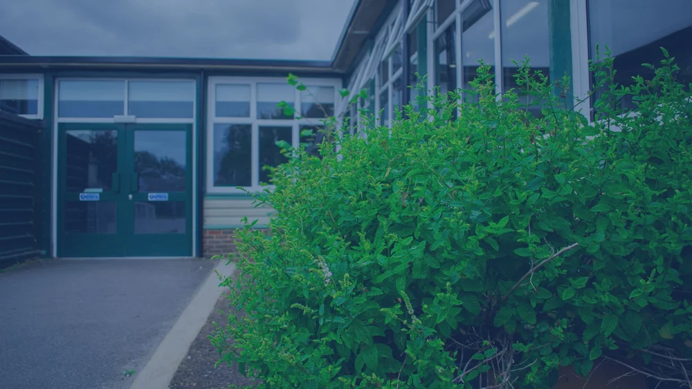About Us — Mansel Park Primary & Nursery School