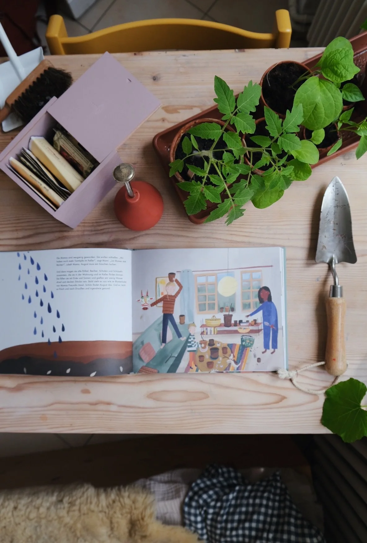 August und die grüne Stadt — Gretas Freunde