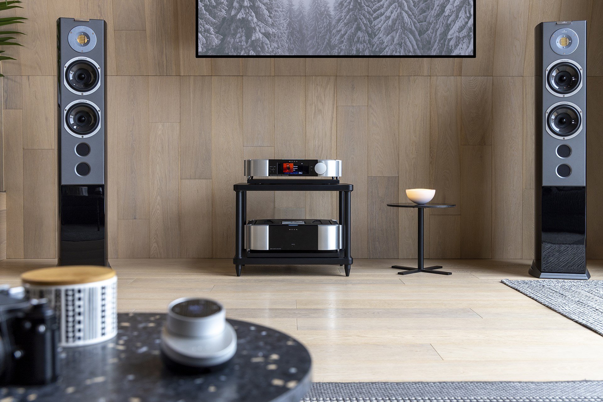 MOON 641 Integrated Amplifier North Collection — Renaissance