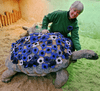 International salute to animals of war and their contribution in fight ...