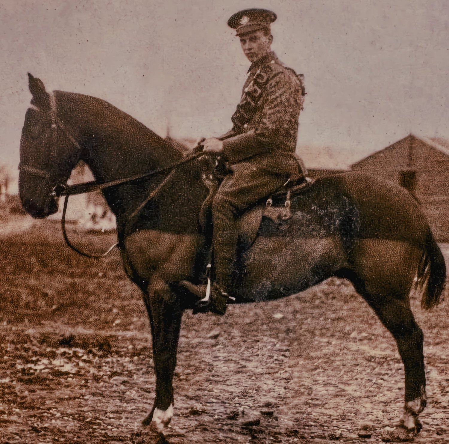 War horse Blackie to take pride of place on Merseyside housing ...