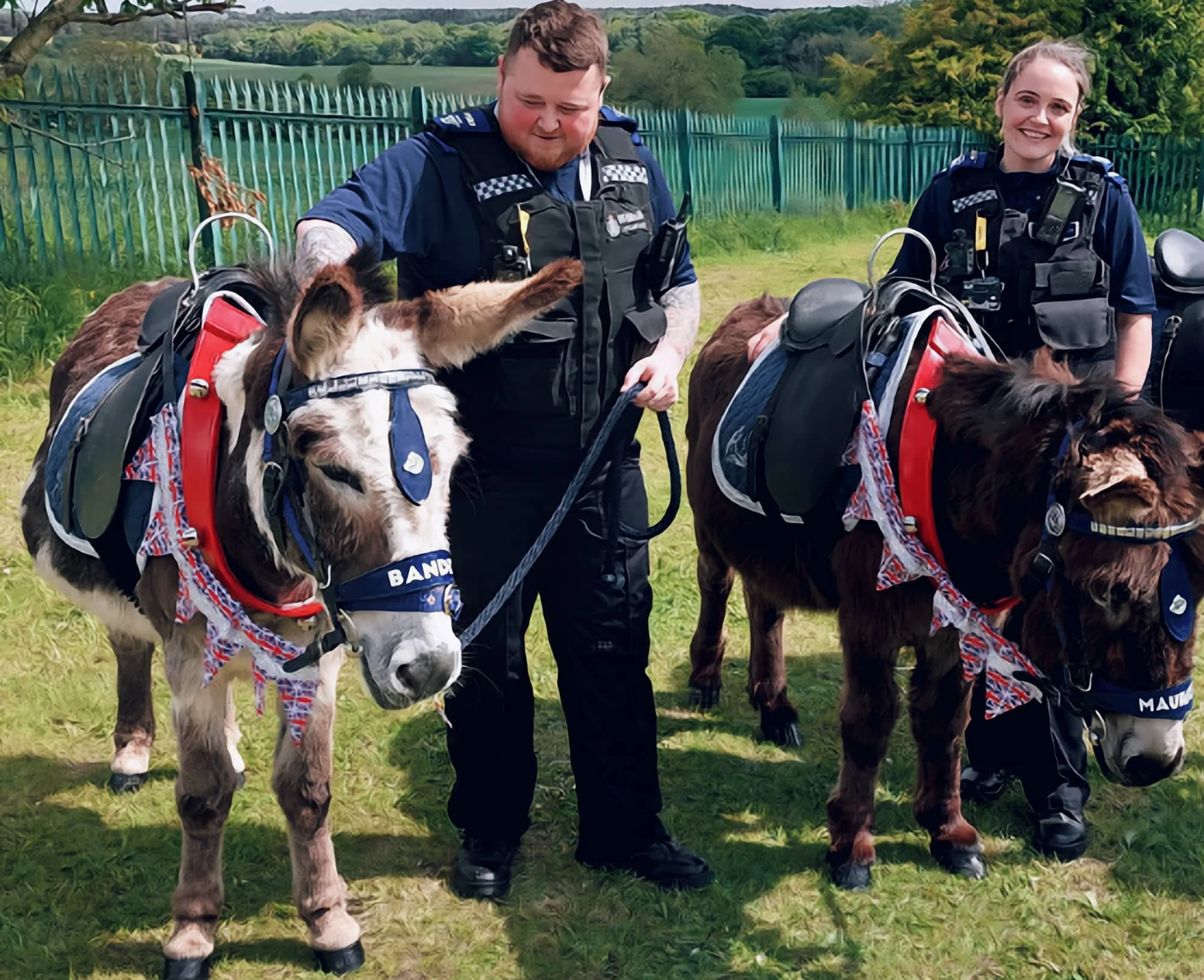 World Donkey Day timely reminder of cash needed to support these ...