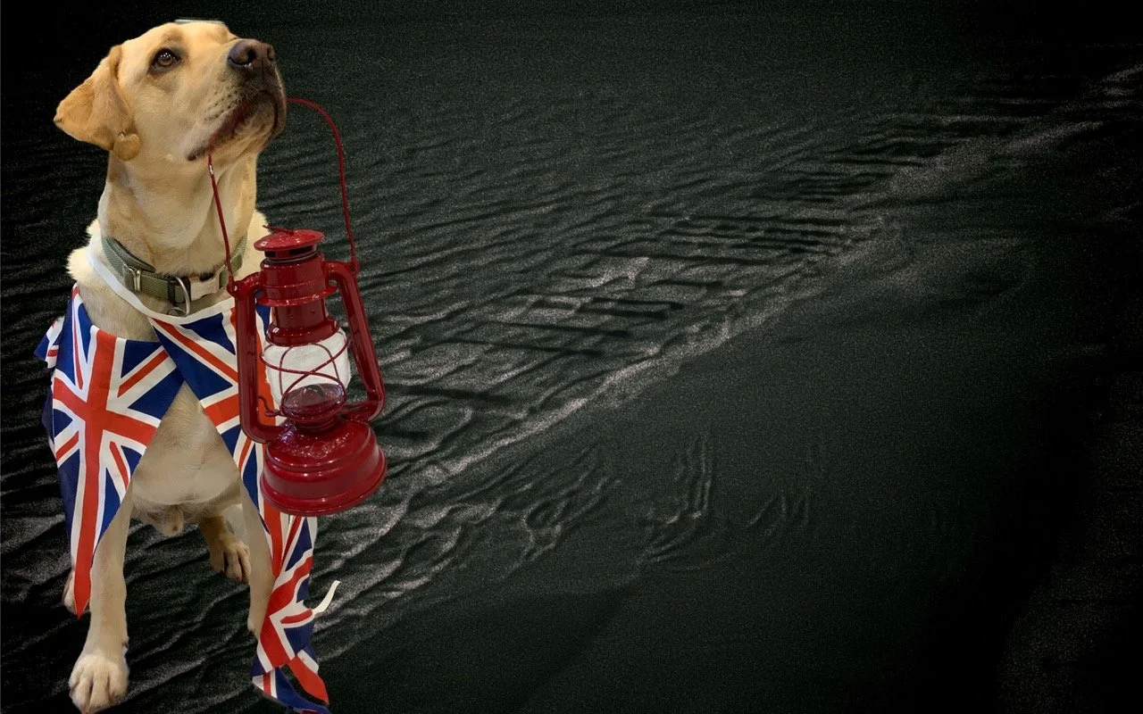 Your chance to support D-Day 80 and shine a ‘Light of Peace’ for ...