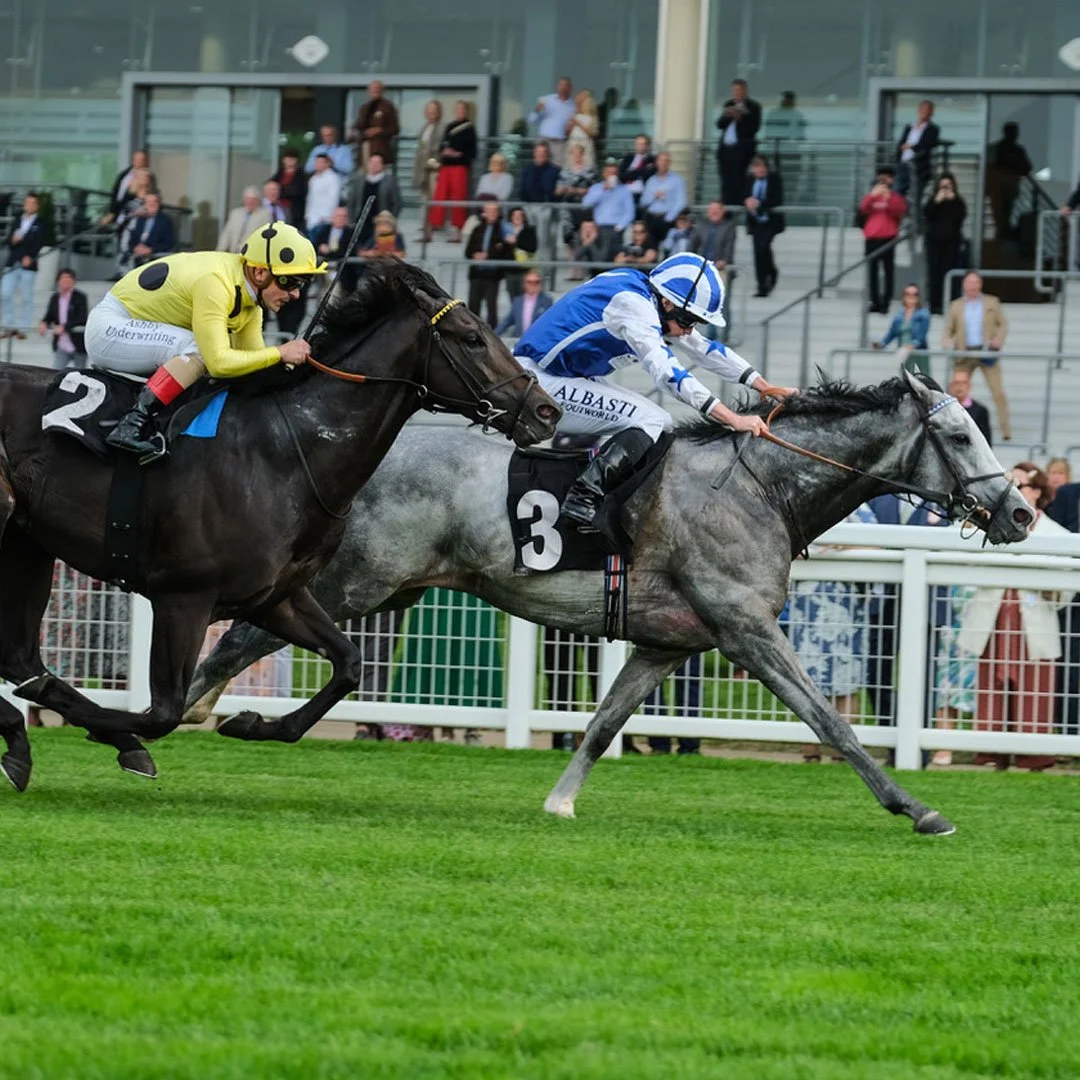 31 – Dark Shift — The War Horse Memorial