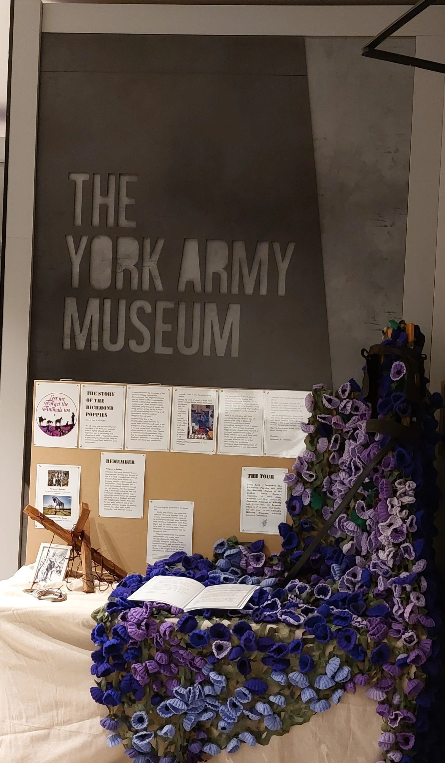 Donkeys to gather in York for Purple Poppy tour army museum launch ...