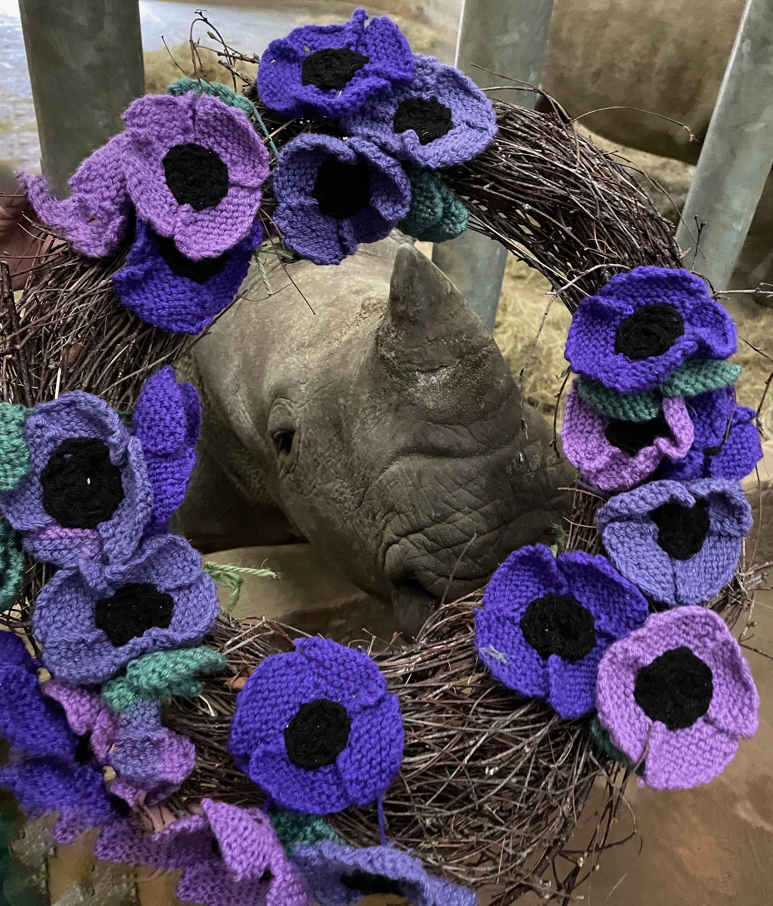 Remembrance Poppy 2025 The Purple Poppy Lapel Pin* Remembering Our ...