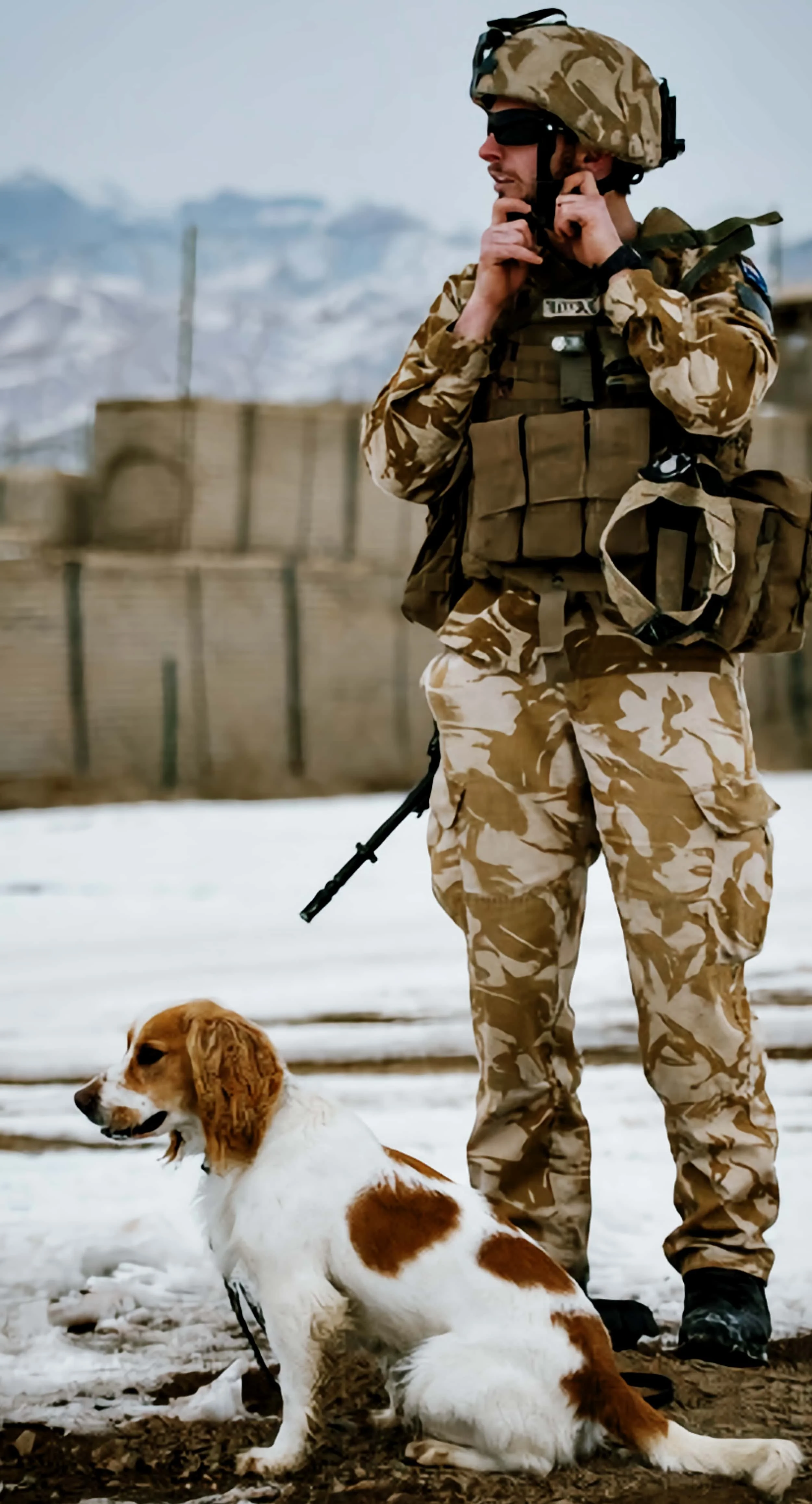 International salute to animals of war and their contribution in fight ...
