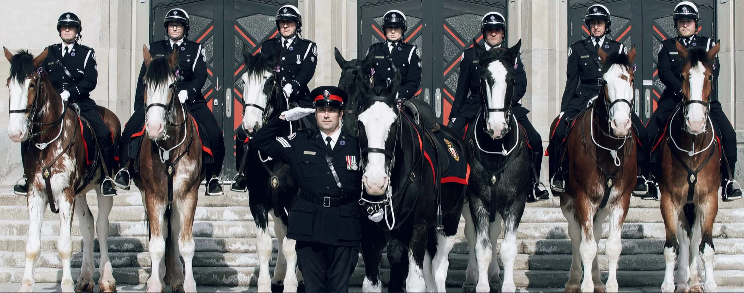 International salute to animals of war and their contribution in fight ...