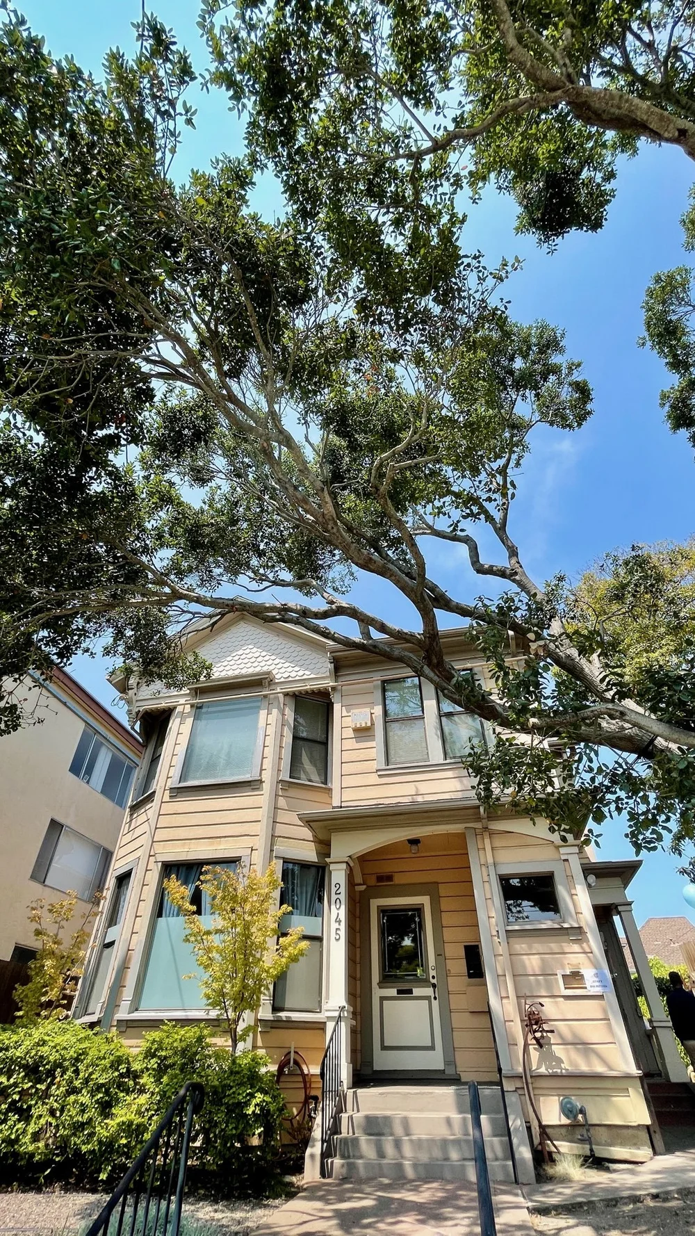 Services 4 — Stanley Keleman