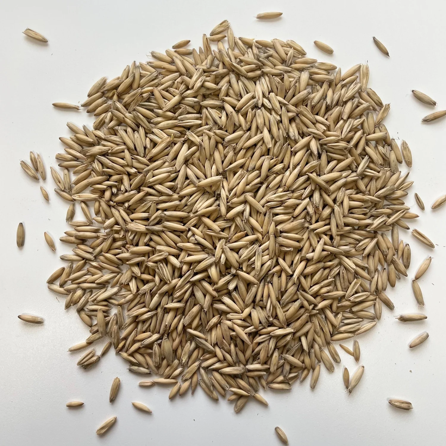 MALT — Rabbit Hill Malt