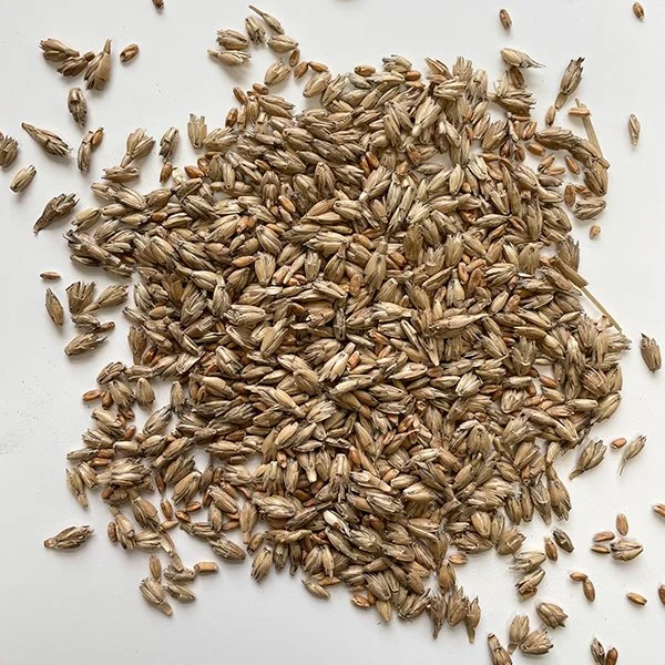 MALT — Rabbit Hill Malt