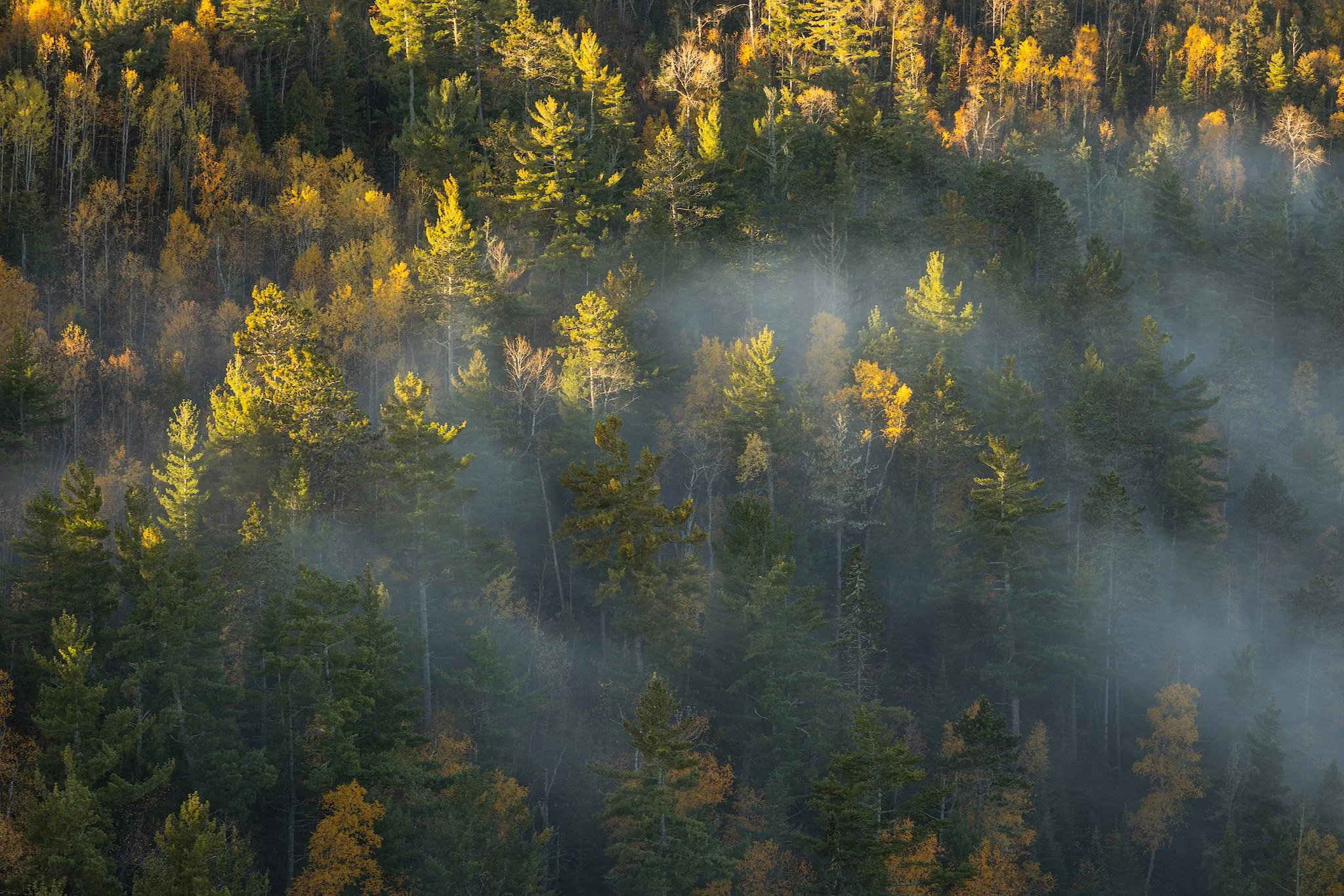 Clearing Trip Resources — Border Route Trail