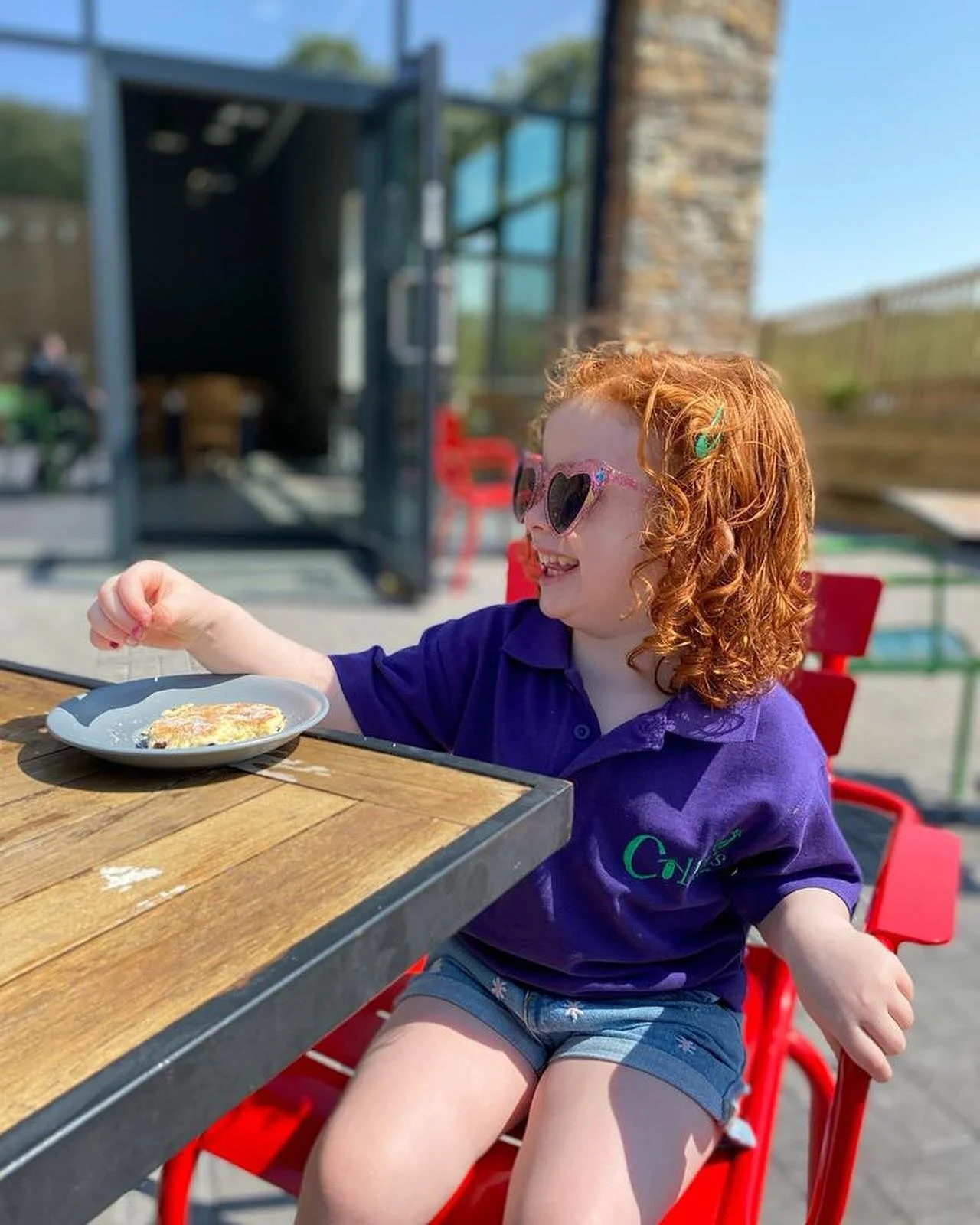 Colliers Adventure Farm