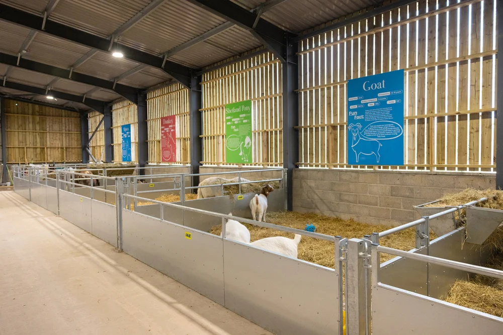 Explore - Colliers Adventure Farm