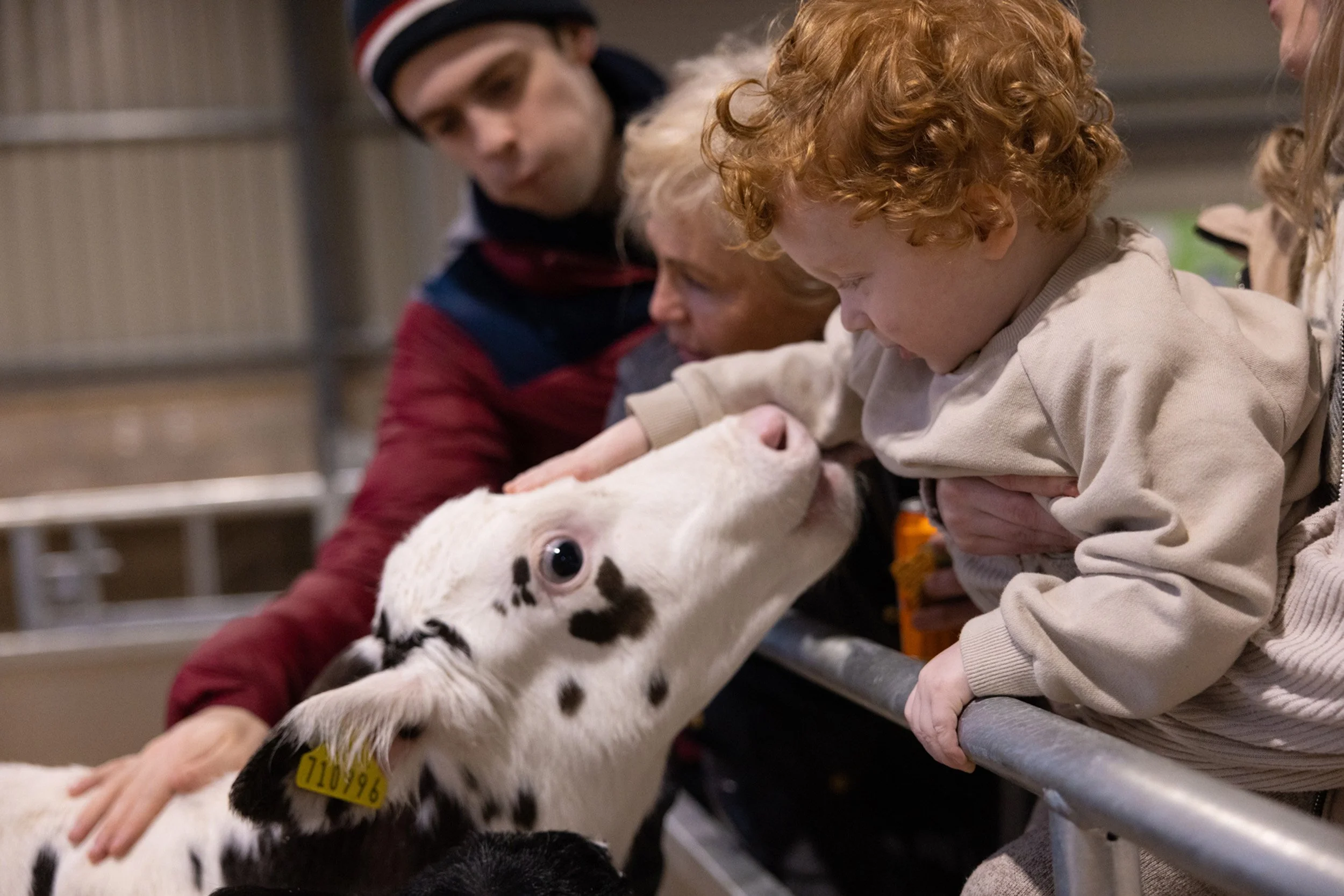 Explore - Colliers Adventure Farm