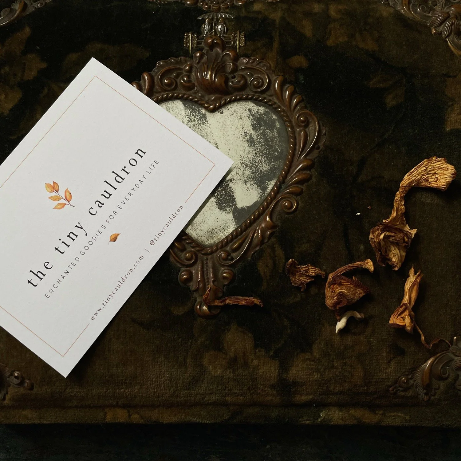 Coven Market — WITCHOLOGY MAGAZINE