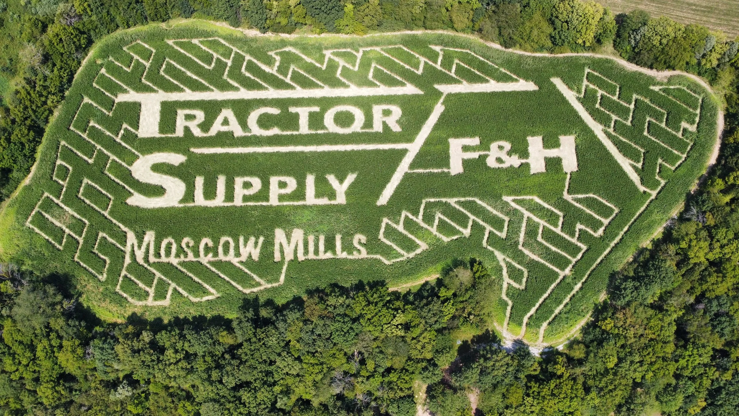 The Maze — Eagle Fork Farms