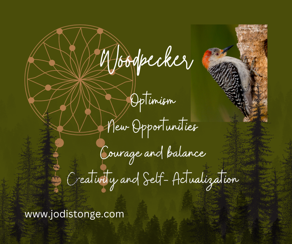 Blog 1 — Jodi St Onge