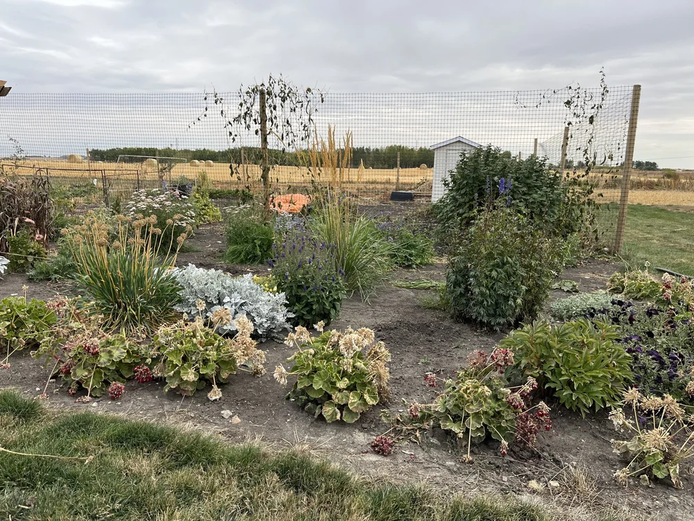 Easy Tips on How to Clean up your Garden for Fall — Broad Meadow Farm
